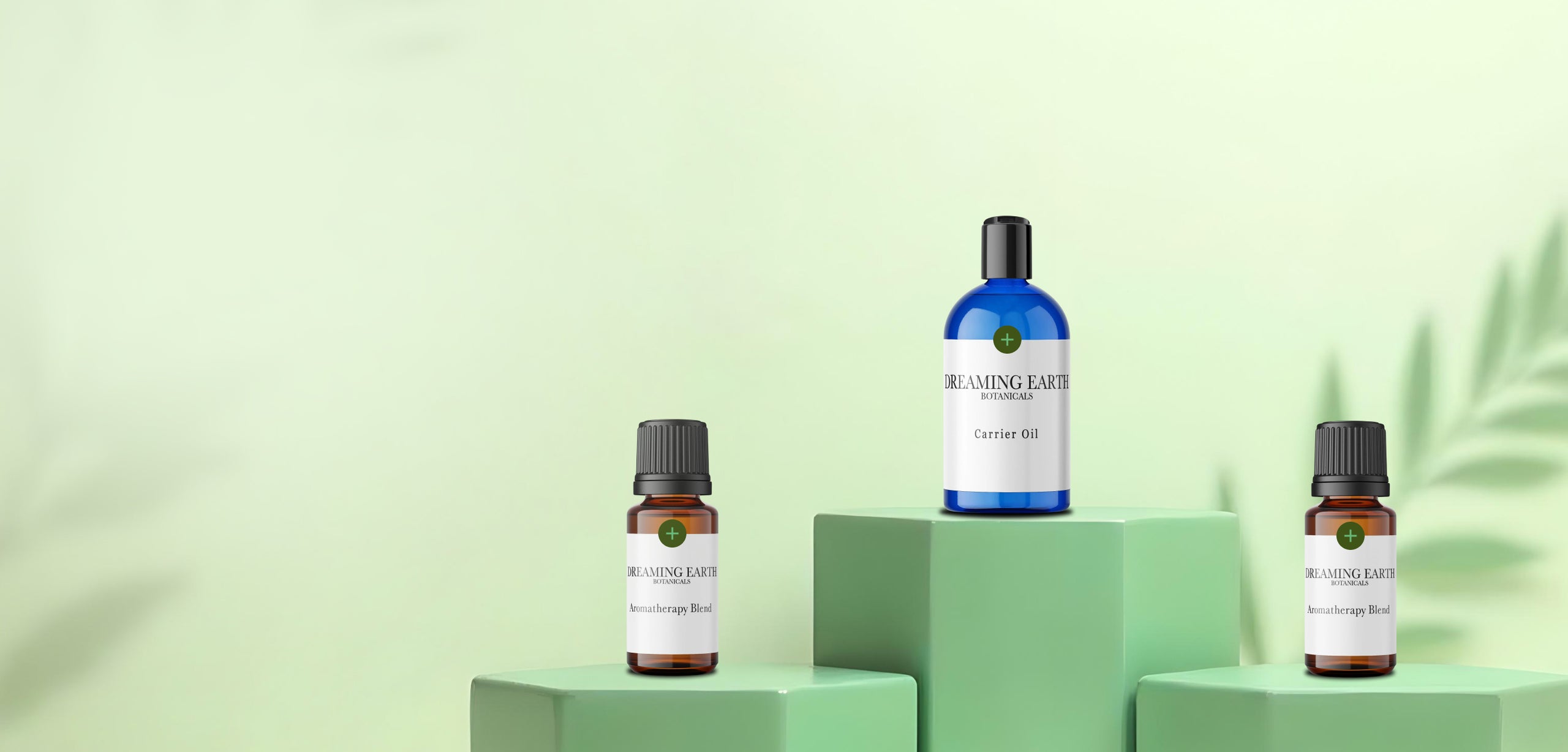 Essential Oil Blends Sampler Pack - Top 6 – Dreaming Earth Botanicals