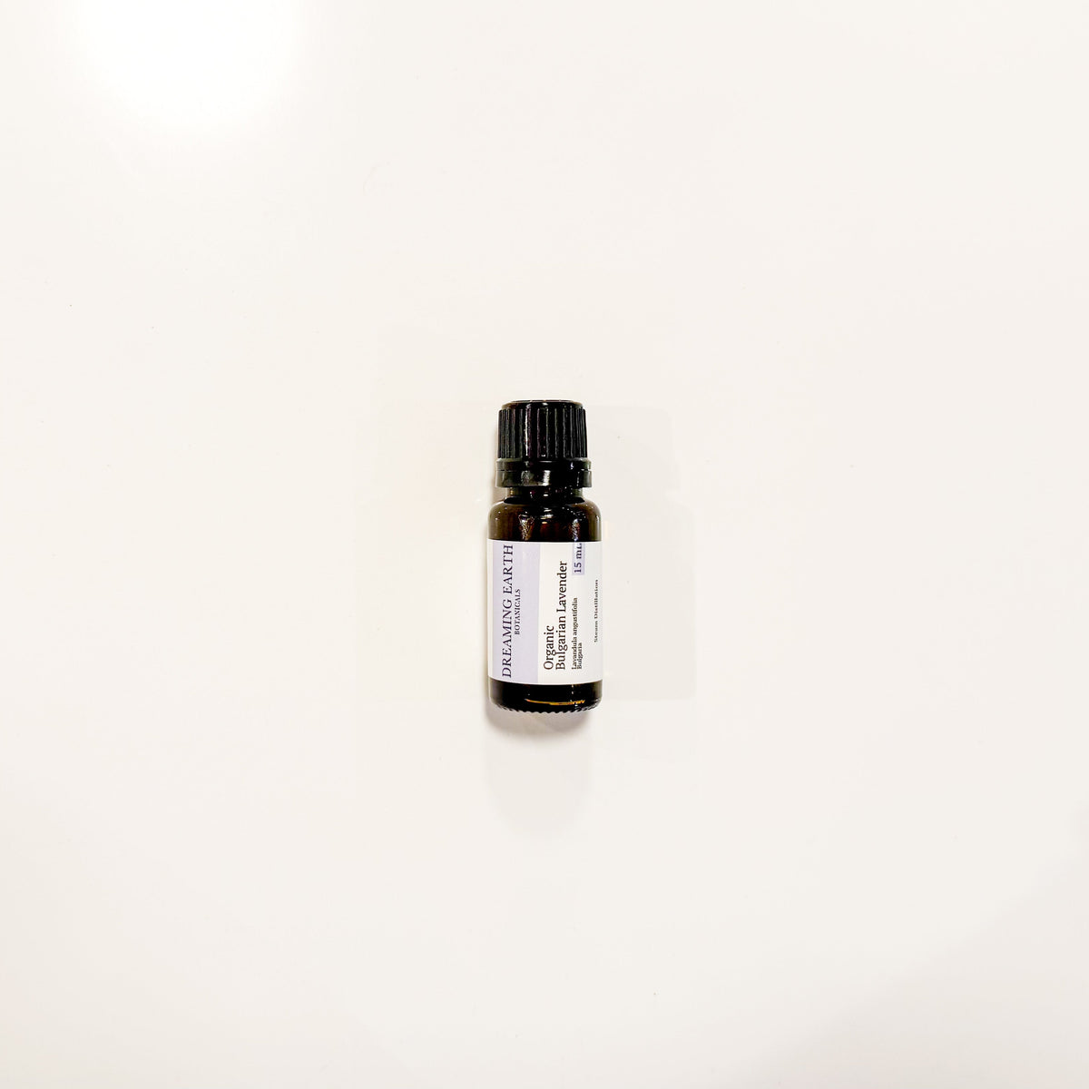 Lavender, Eastern European Organic Essential Oil – Dreaming Earth ...